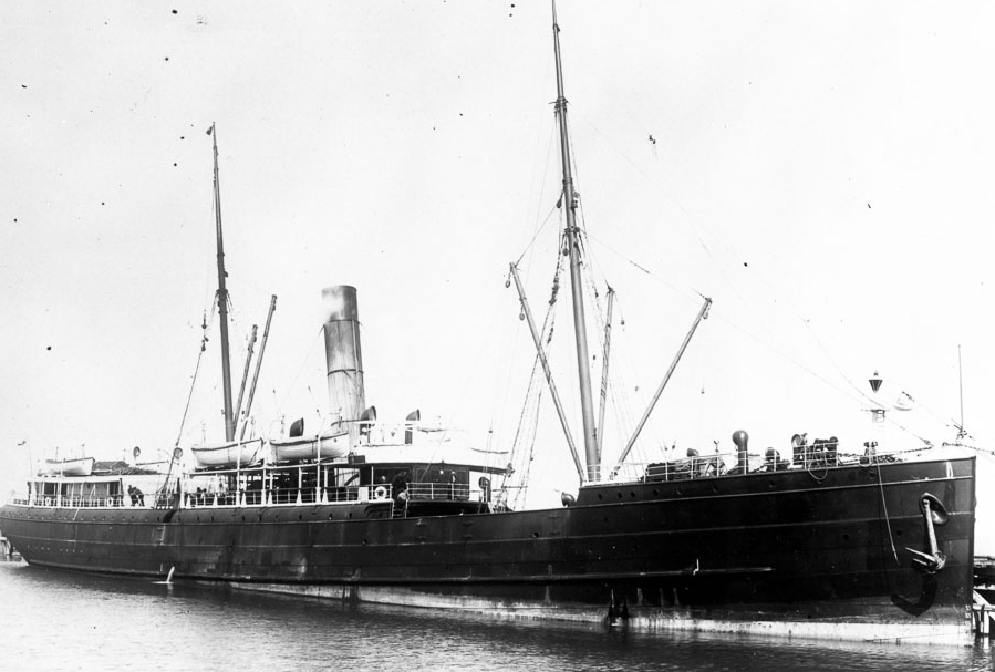 A 100 years ago today a death ship from NZ arrived in Samoa: A reminder ...