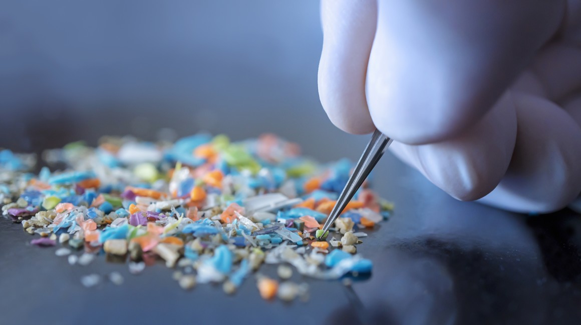 Human health impacts of plastic exposure – an evolving evidence base | PHCC